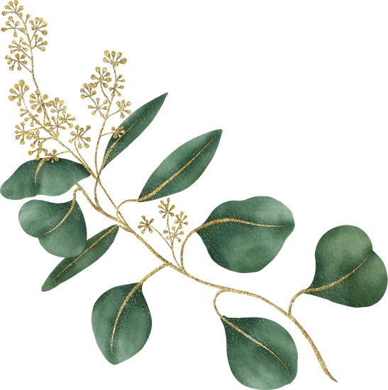 BEN&BEN design – Canva