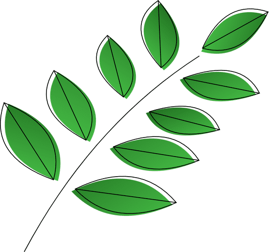 Hình ảnh của Thu Ly – Canva