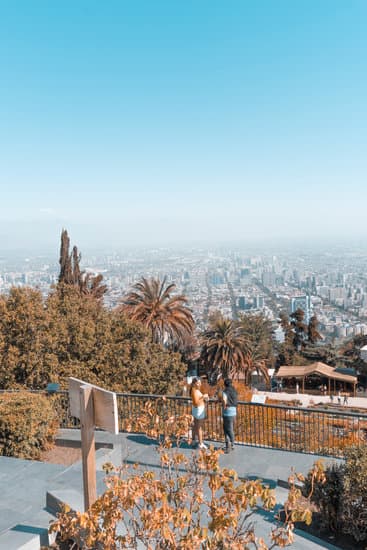 Daniel Aguilar Feener – Canva