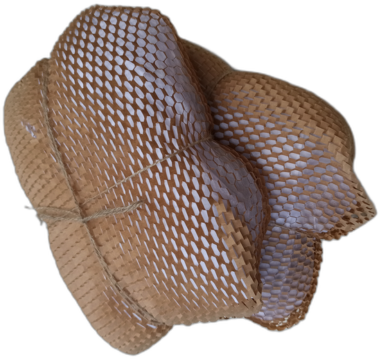 Frances Mungcal – Canva