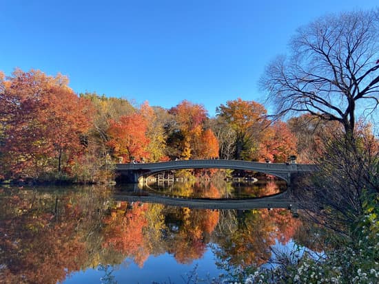 Imagens de Vanessa Holz Faller – Canva