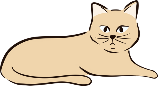 Cyrus Fong 的影像 – Canva