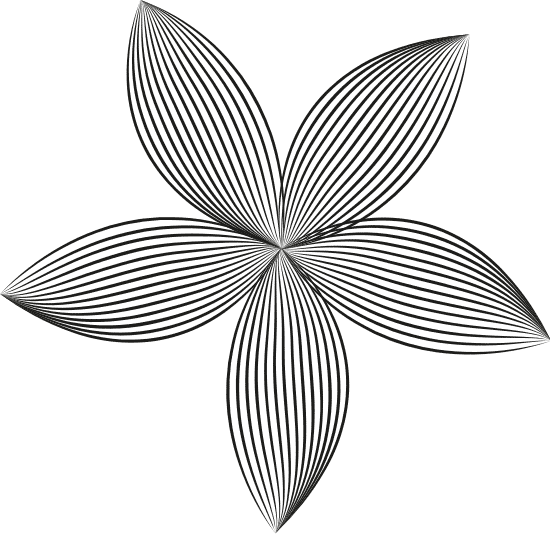 ANNA GRAPH' – Canva