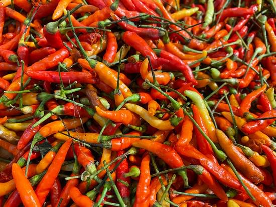 Meifan Igir's Images – Canva