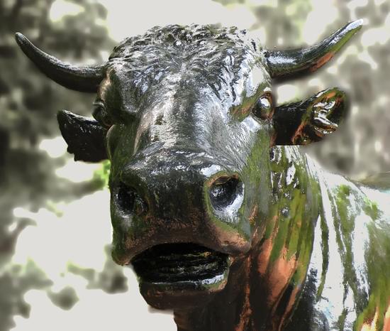 Kenny Simpson's Images – Canva