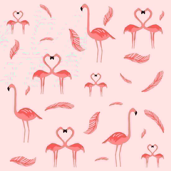 Colton Dadashian's Images – Canva