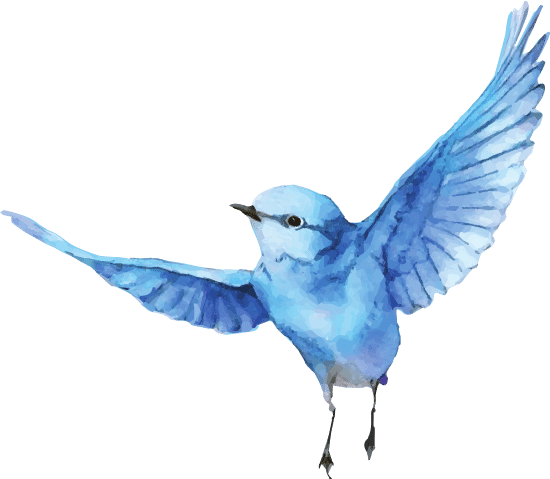 Magic Design – Canva