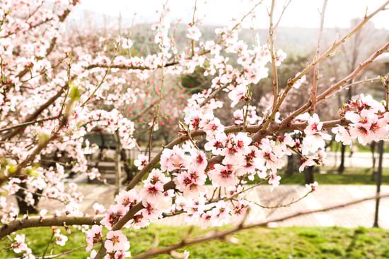 ibrahim dogan Adlı Kullanıcının Görselleri – Canva