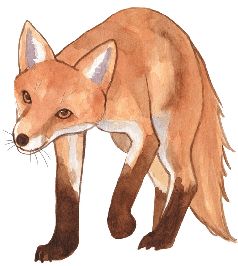 Kaoryn Chan's Images – Canva