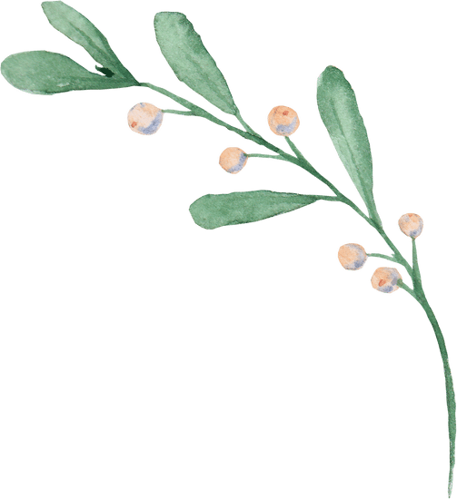 Natalia Plyashkevich – Canva