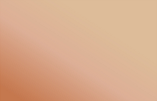 The Graphics Squad – Canva