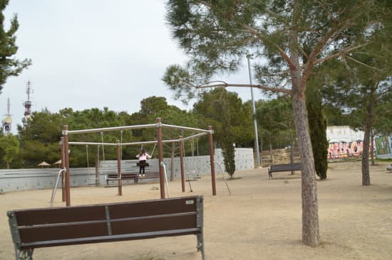 Veronica MOOS – Canva