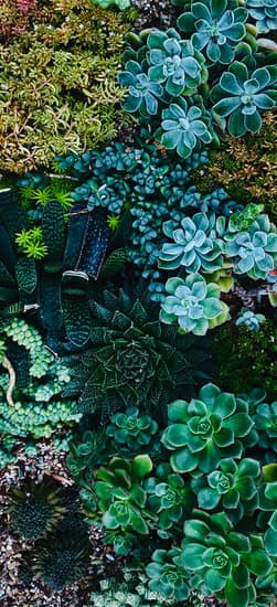 Liwanag – Canva