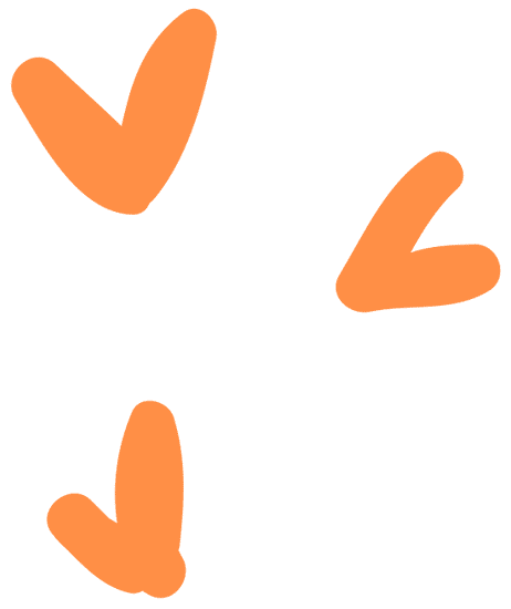 Paff Collection – Canva