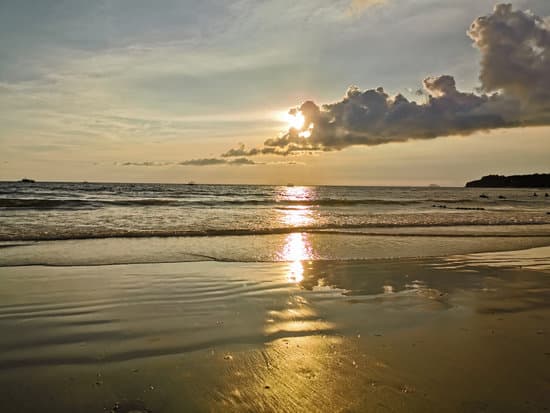 Redrev Romano – Canva