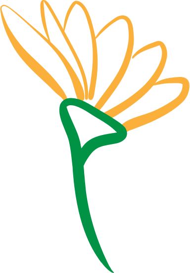 freistile-design – Canva