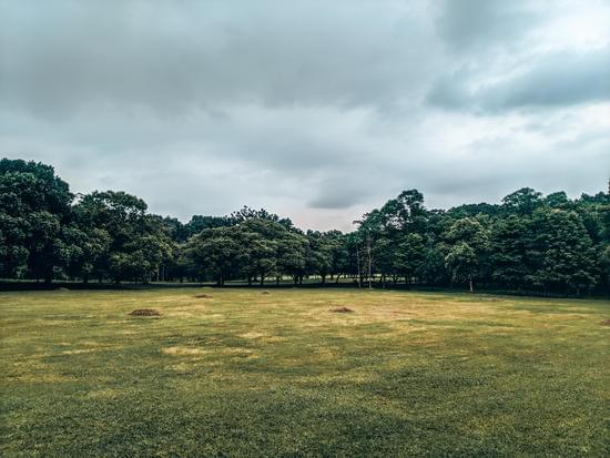 Gambar iwan pratanto – Canva