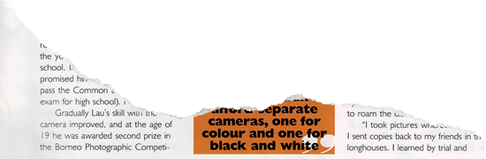 Dikas Studio – Canva