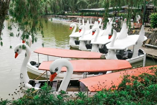 LNDLCKD.Creative designs – Canva