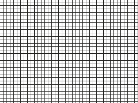 Judy Ann Casaul – Canva