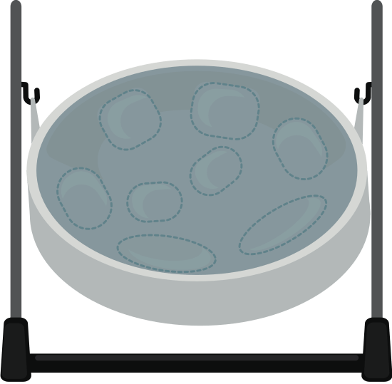 Magic Design – Canva