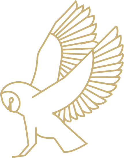 Skilline Design Co. – Canva