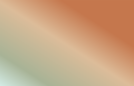 The Graphics Squad – Canva