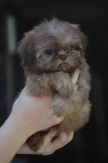 Jodelle Jean Medina's Images – Canva