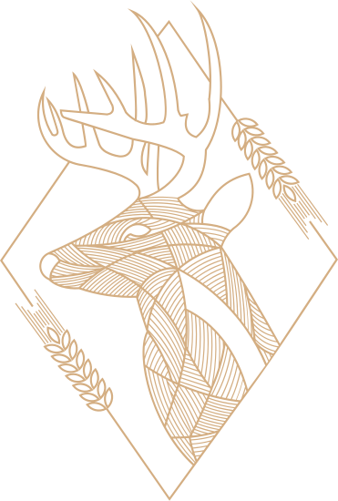 Skilline Design Co. – Canva