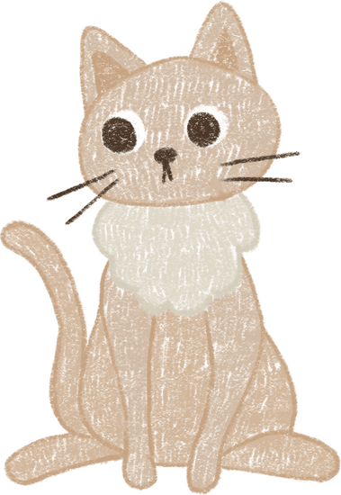 Pretty Cutie Design – Canva