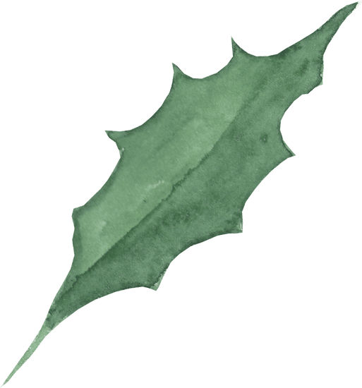 Natalia Plyashkevich – Canva