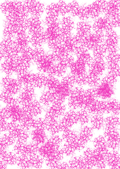 Crystal Joy Herras's Images – Canva