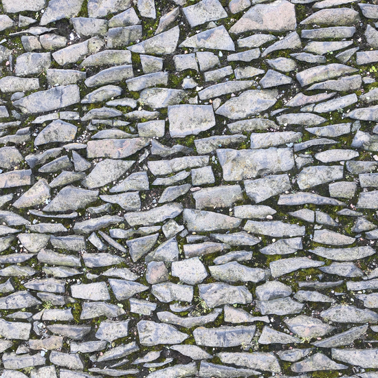 Pixel Phoenix Designs – Canva