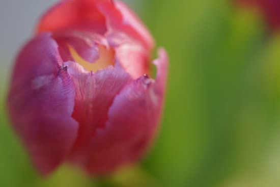 OntheRun Photo's Images – Canva