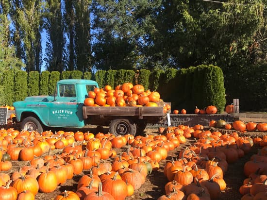 Josephine Laher's Images – Canva