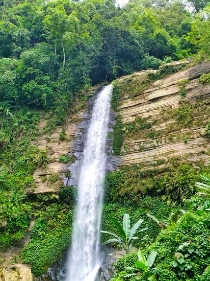 Shejan's Workshop – Canva