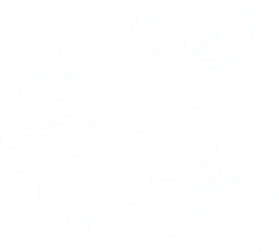 Monique Taljaard – Canva