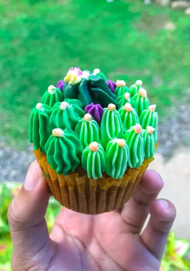 Jovert Carlos – Canva