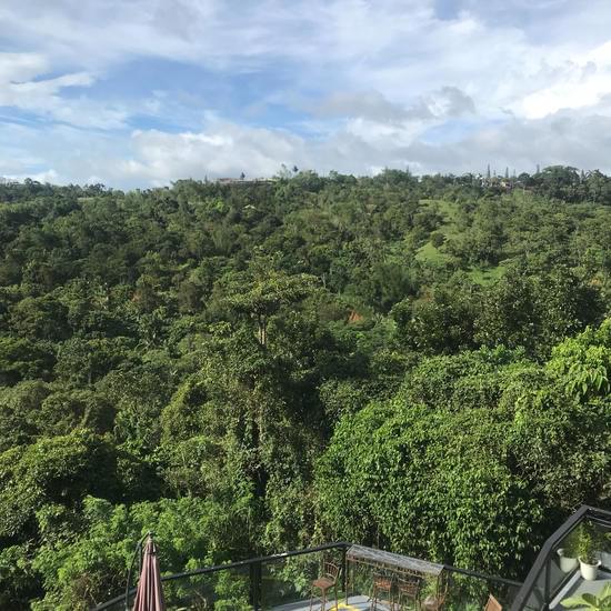 Jovert Carlos – Canva