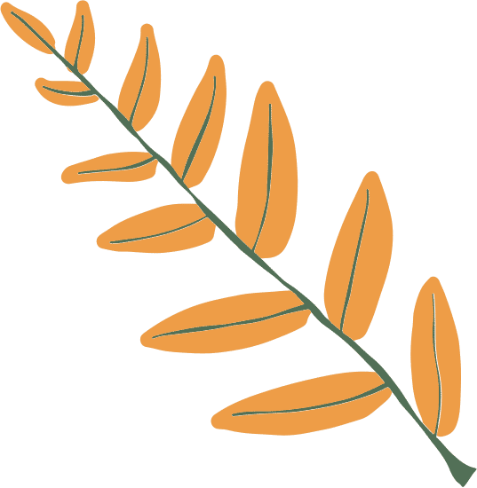 Elliegator – Canva