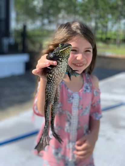 vonda's Images – Canva