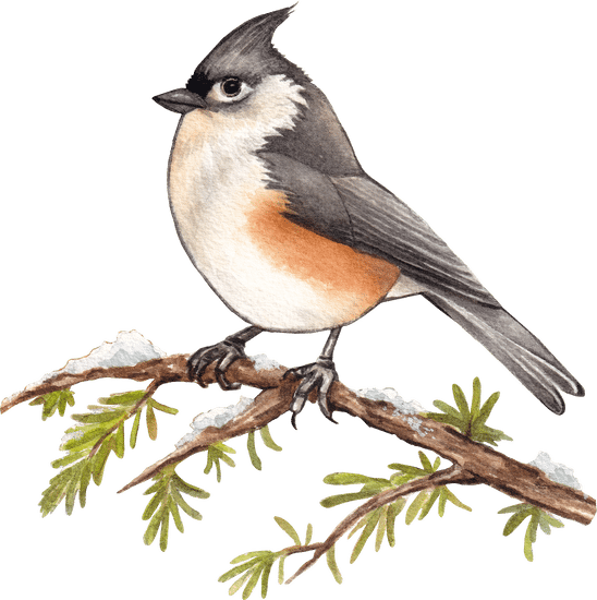 Kaoryn Chan's Images – Canva