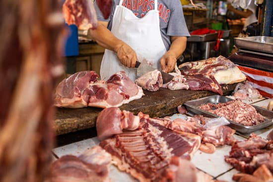 The Paul Ricafrente Collection – Canva