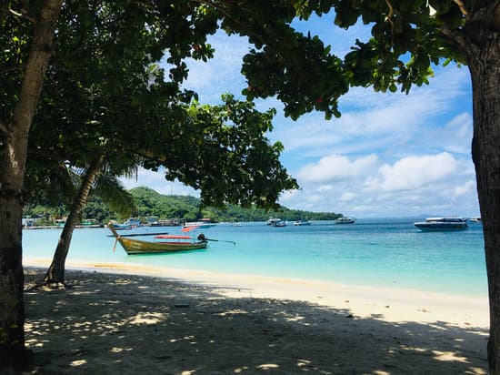ภาพของDaarsan – Canva