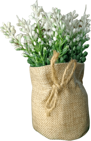 Icha Riska – Canva