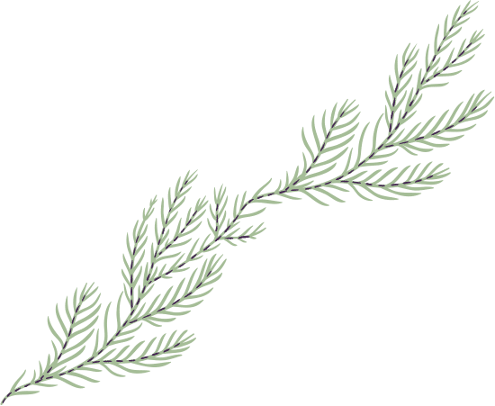 Paff Collection – Canva