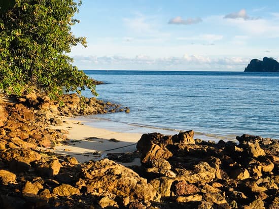 ภาพของDaarsan – Canva