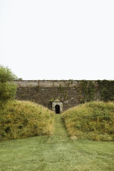 America Roe Photography – Canva