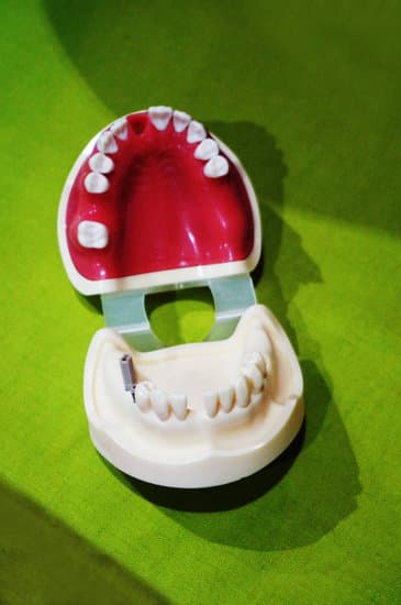 reddees Images – Canva