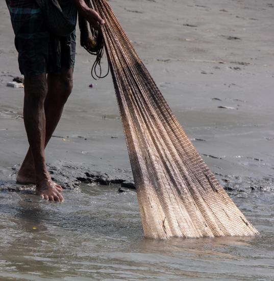 Iftikhar Alam – Canva